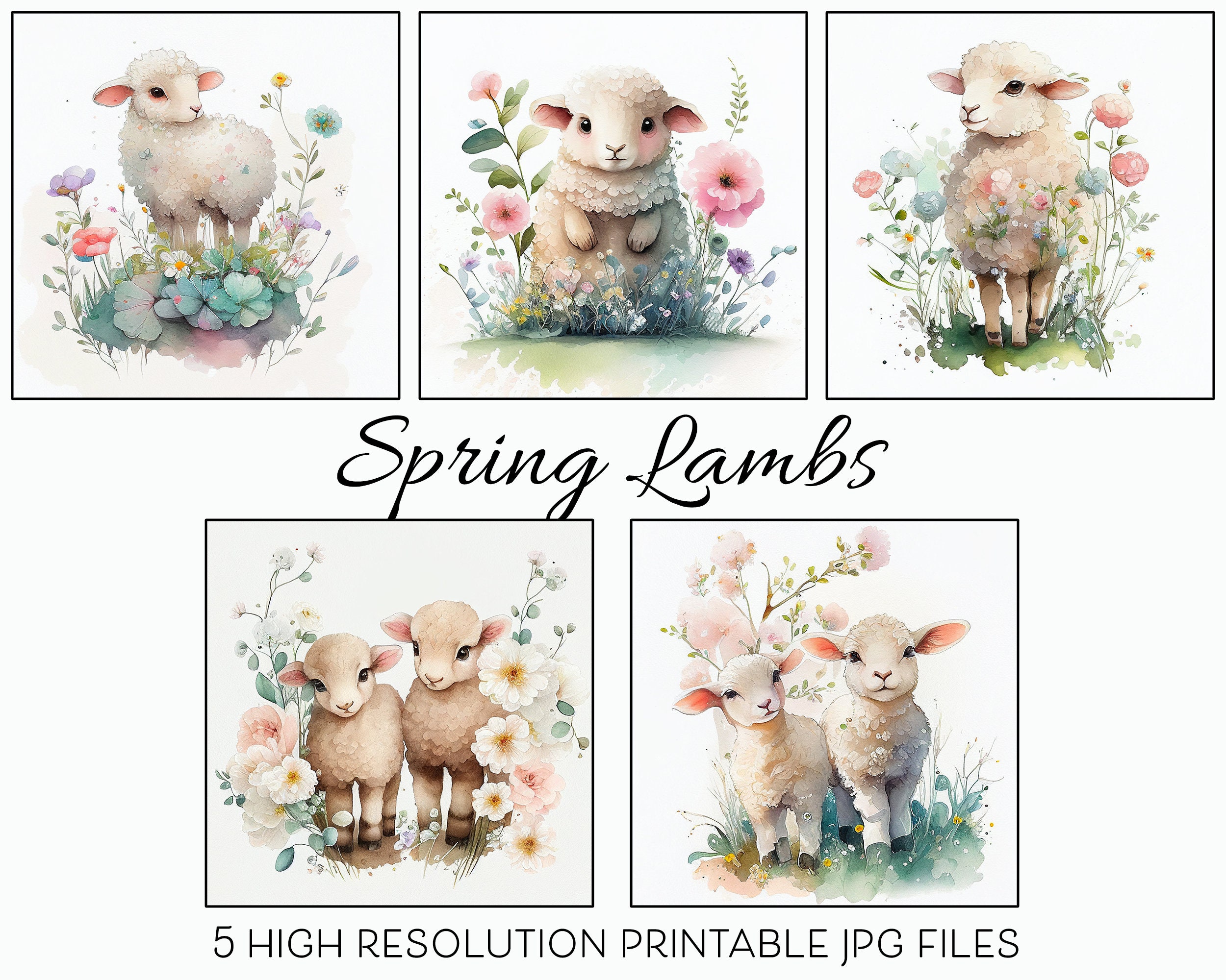 Spring Lamb Clipart Baby Sheep Cute Farm Animals Floral - Etsy