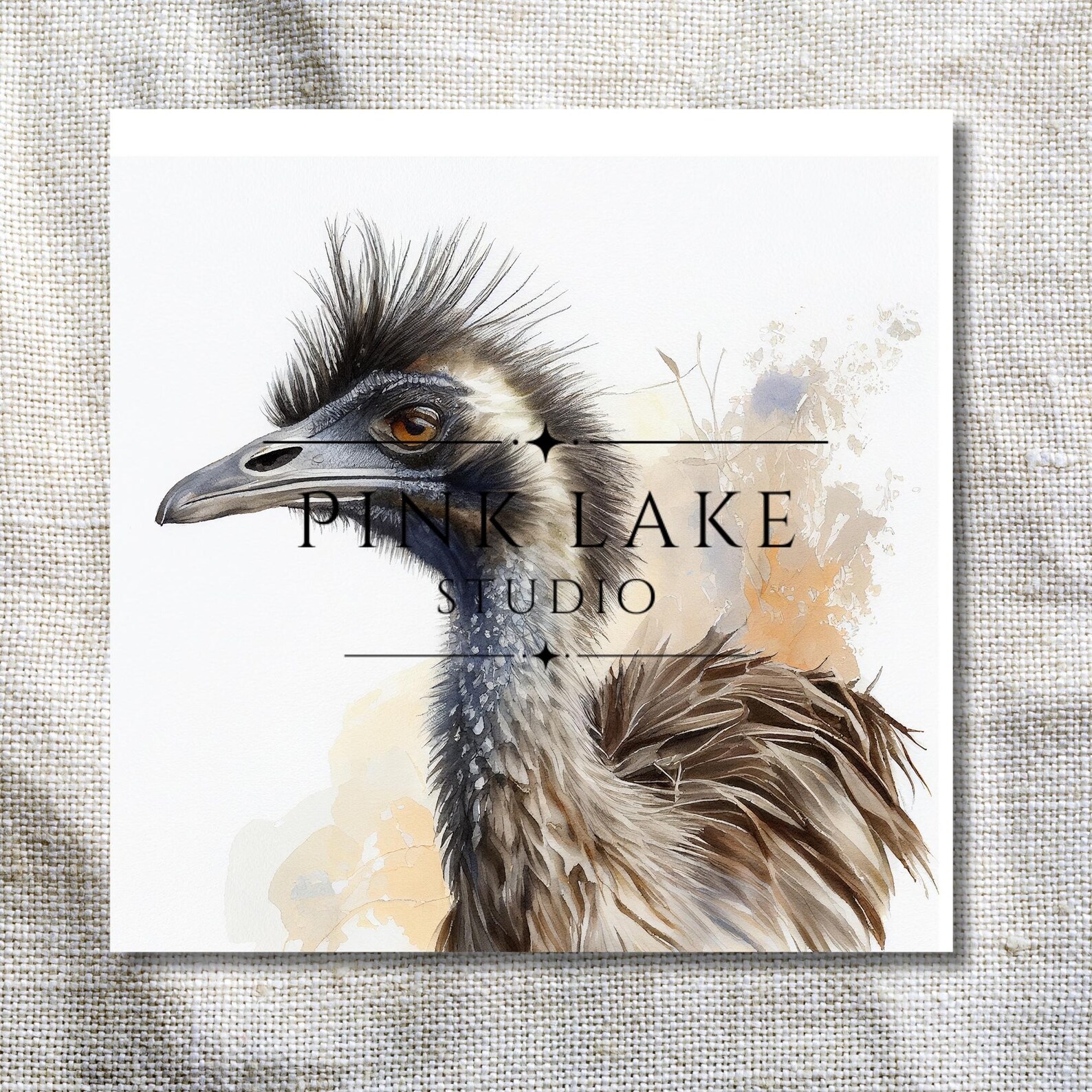 Australian Animals Wall Art Set of 4, Koala, Kangaroo, Possum, Emu ...