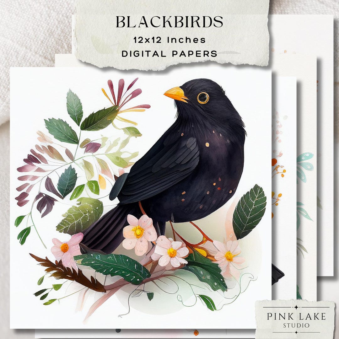Blackbird Watercolor Digital Paper, 12x12 Scrapbook Paper, Blackbird ...