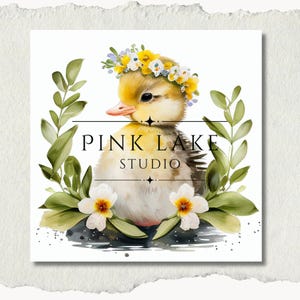 Spring Ducklings Digital Papers, 12x12" Watercolor Baby Duck Clipart ...