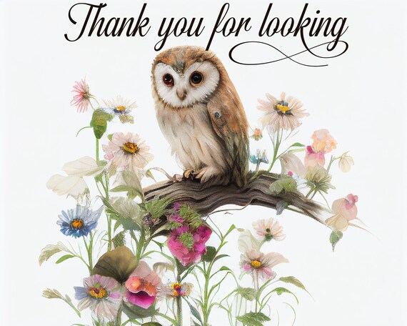 Thank You Owl Clip Art