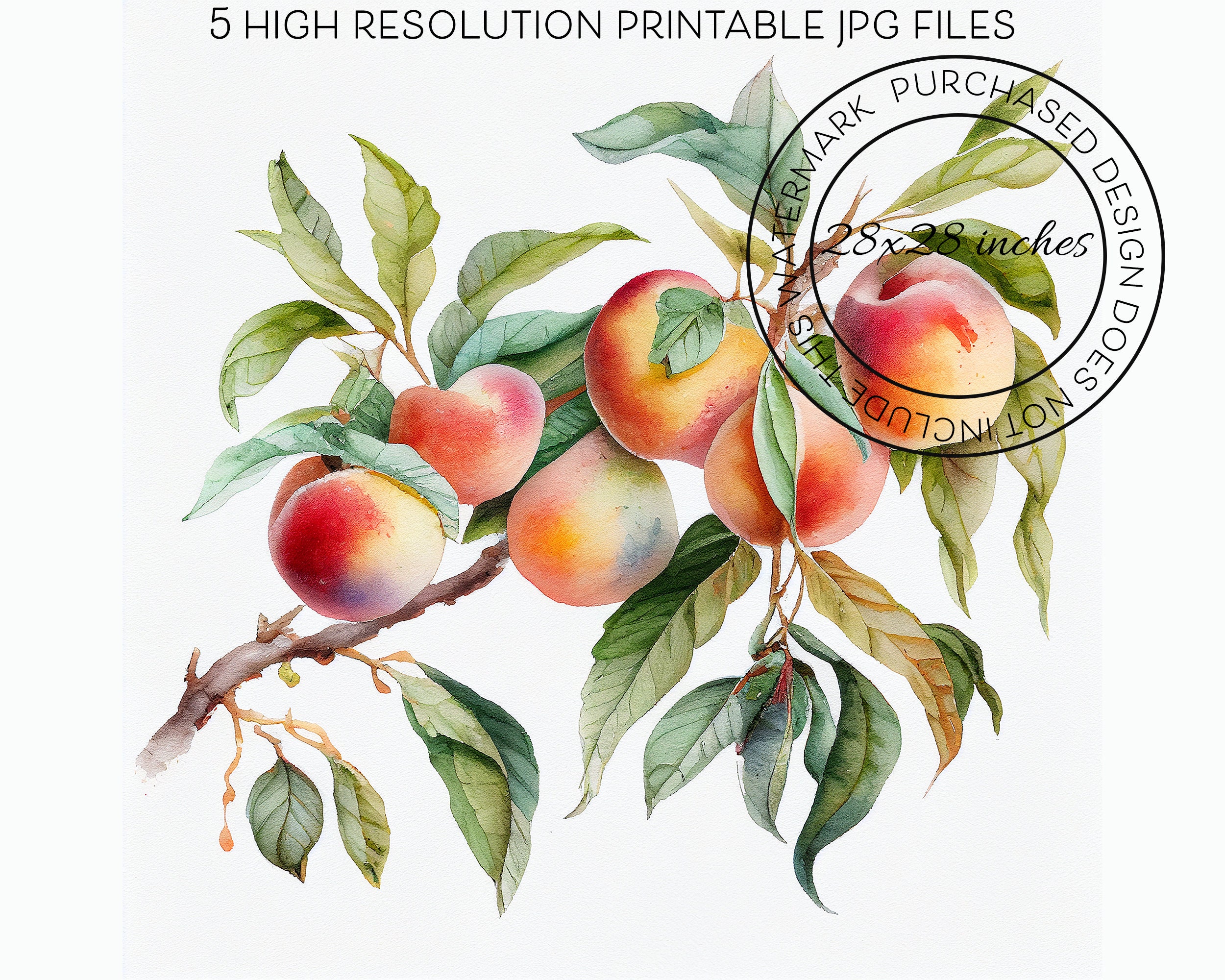 Peach Clipart Set, Peach Tree, Watercolour Peach, Peach Fruit Bowl ...
