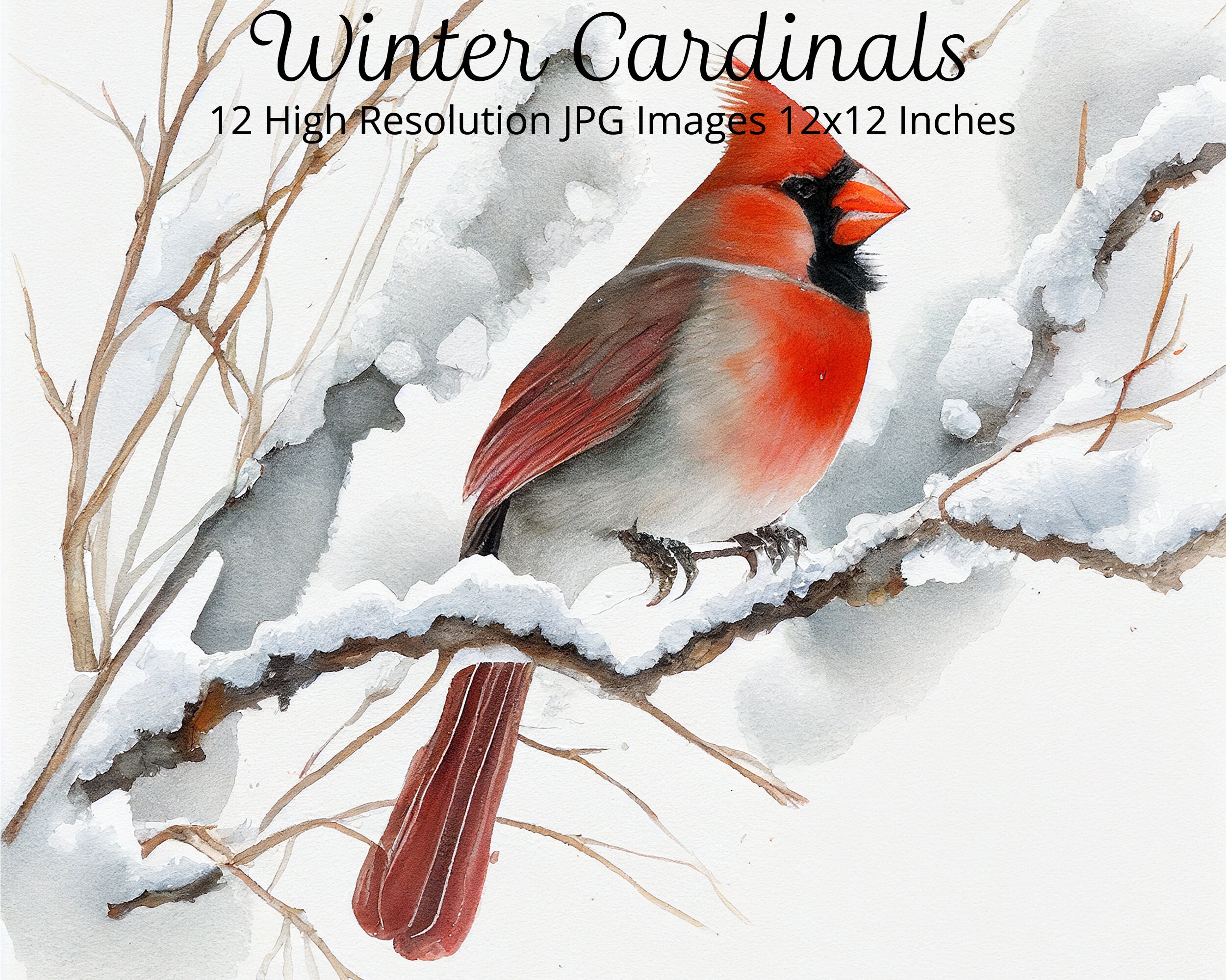 Cardinal Art Print, Winter Wall Decor, Bird Printable Winter Art Set of ...