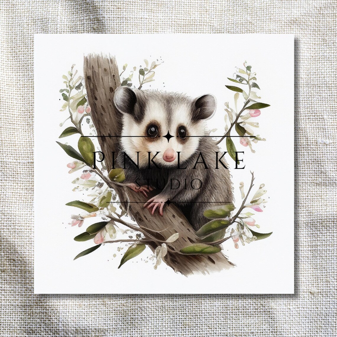 Australian Animals Wall Art Set of 4, Koala, Kangaroo, Possum, Emu ...