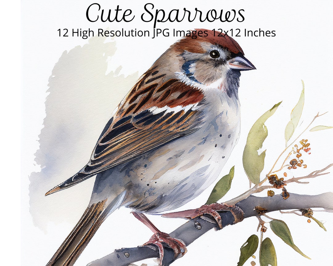 Watercolor Sparrow Art Print, Printable Wall Art, Neutral Background ...