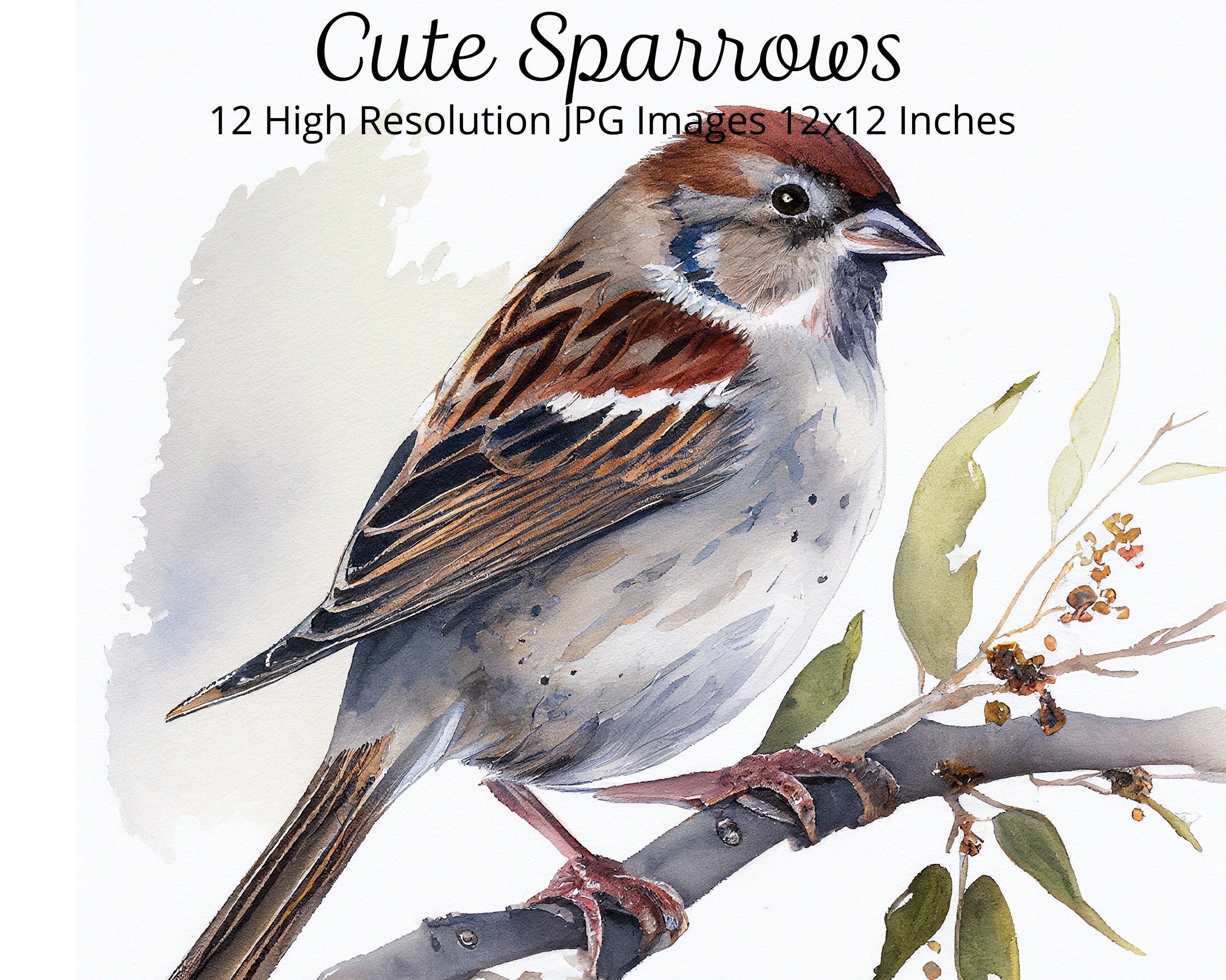 Watercolor Sparrow Art Print, Printable Wall Art, Neutral Background ...