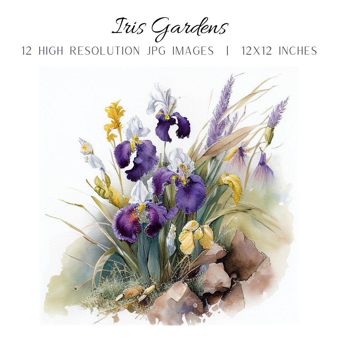 Iris Garden Flowers, Floral Background, Iris Wall Art, Iris Digital ...