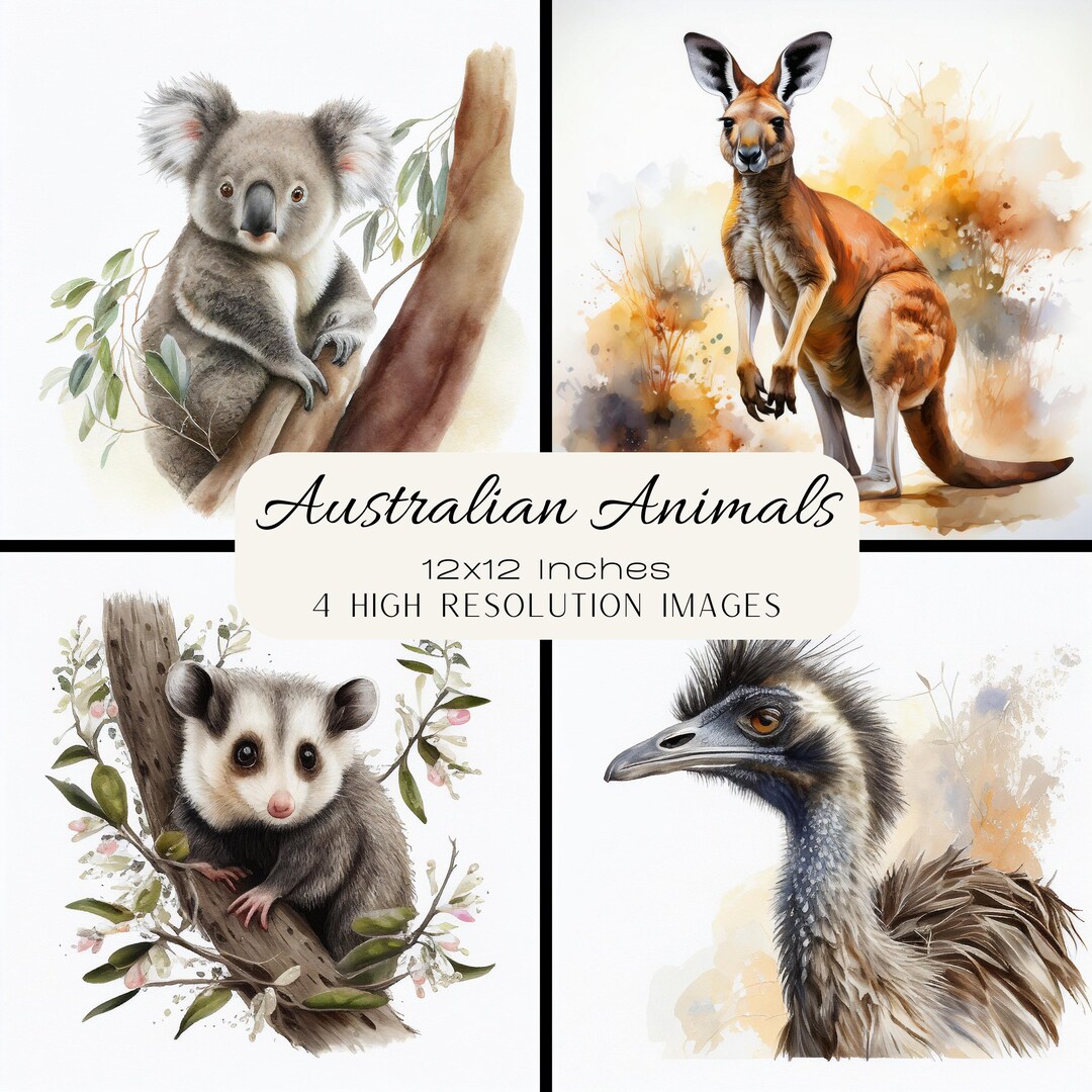 Australian Animals Wall Art Set of 4, Koala, Kangaroo, Possum, Emu ...