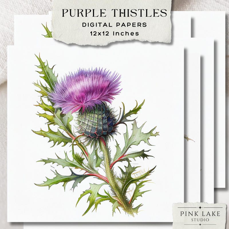 Scottish Thistle - Etsy