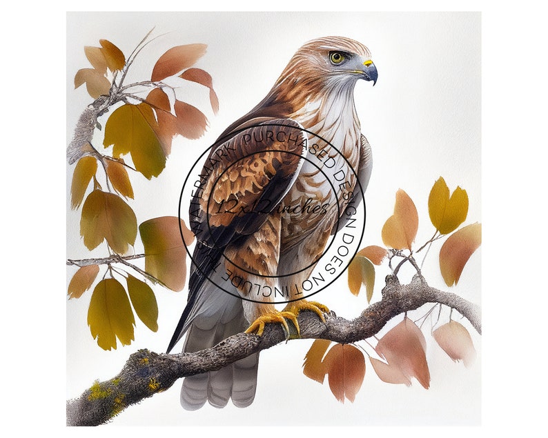 Hawk Artwork Watercolor Hawk Painting Printable Wall Art - Etsy
