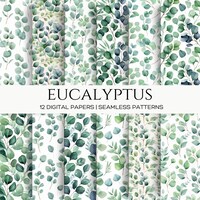 Watercolor Eucalyptus Digital Paper Eucalyptus Sage Green Greenery ...