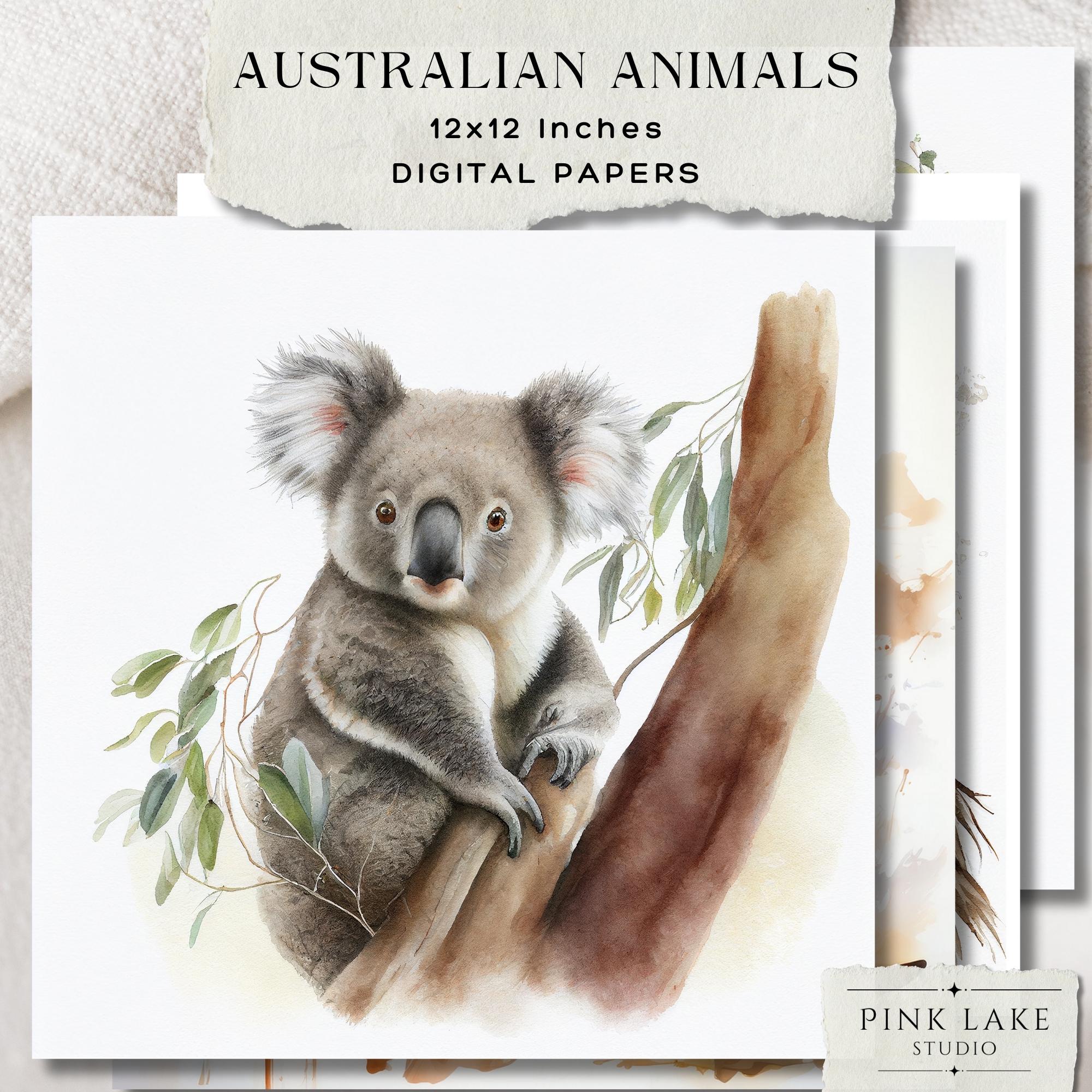 Australian Animals Wall Art Set of 4, Koala, Kangaroo, Possum, Emu ...