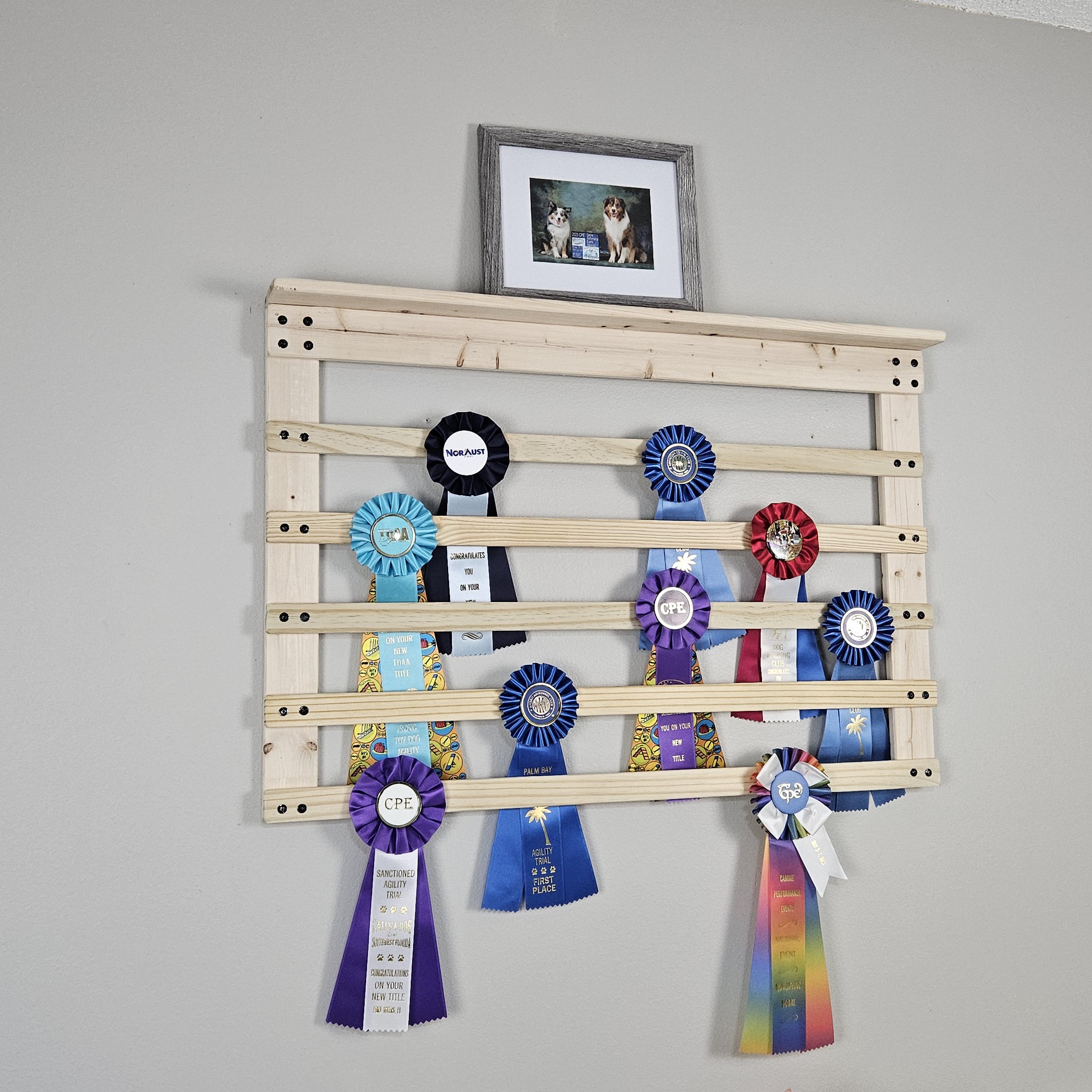Wooden Award Display Rack: 36" for Organizing Rosettes Earned in Dog ...