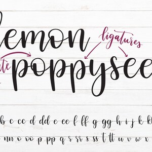 Raspberry Script Brush Font - Etsy