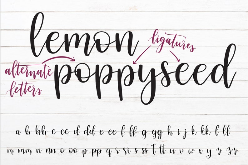 Raspberry Script Brush Font - Etsy
