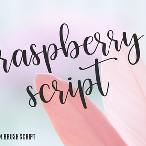 Raspberry Script Brush Font - Etsy