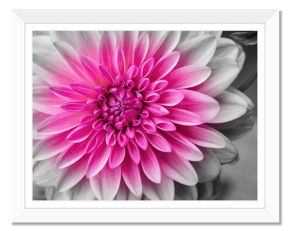 Color Splash Flower