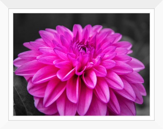 Color Splash Flower