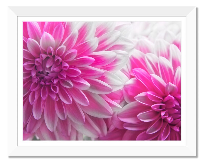 Black and White Color Splash Flower Print, Pink Flower Photography ...