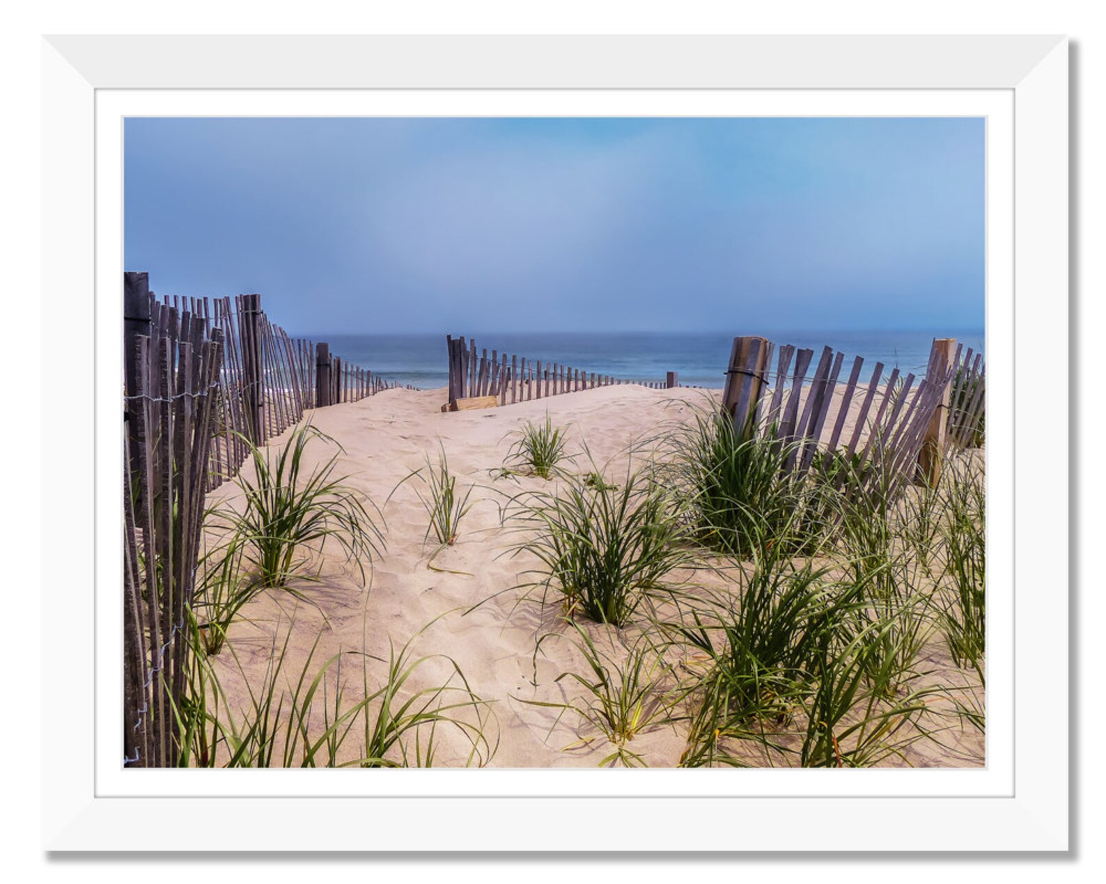 Beach Grass, Beach, Shoreline, Beach Fencing, Summer, Ocean, Printable ...