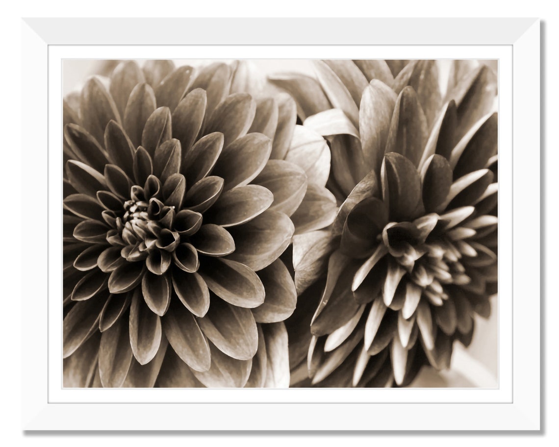 Sepia Flower Photography Print, Flower Wall Decor, Printable Art ...