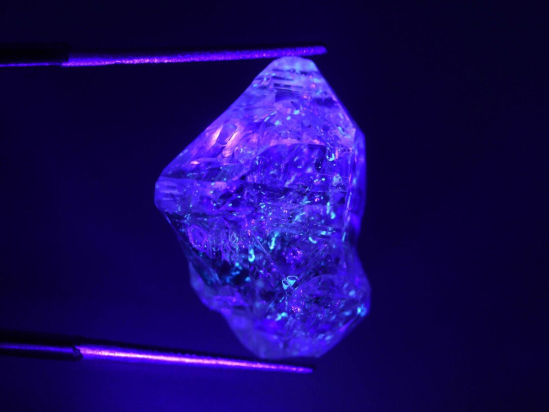 Rare Golden Enhydros Quartz, Natural Petroleum Quartz, UV Reactive Raw ...
