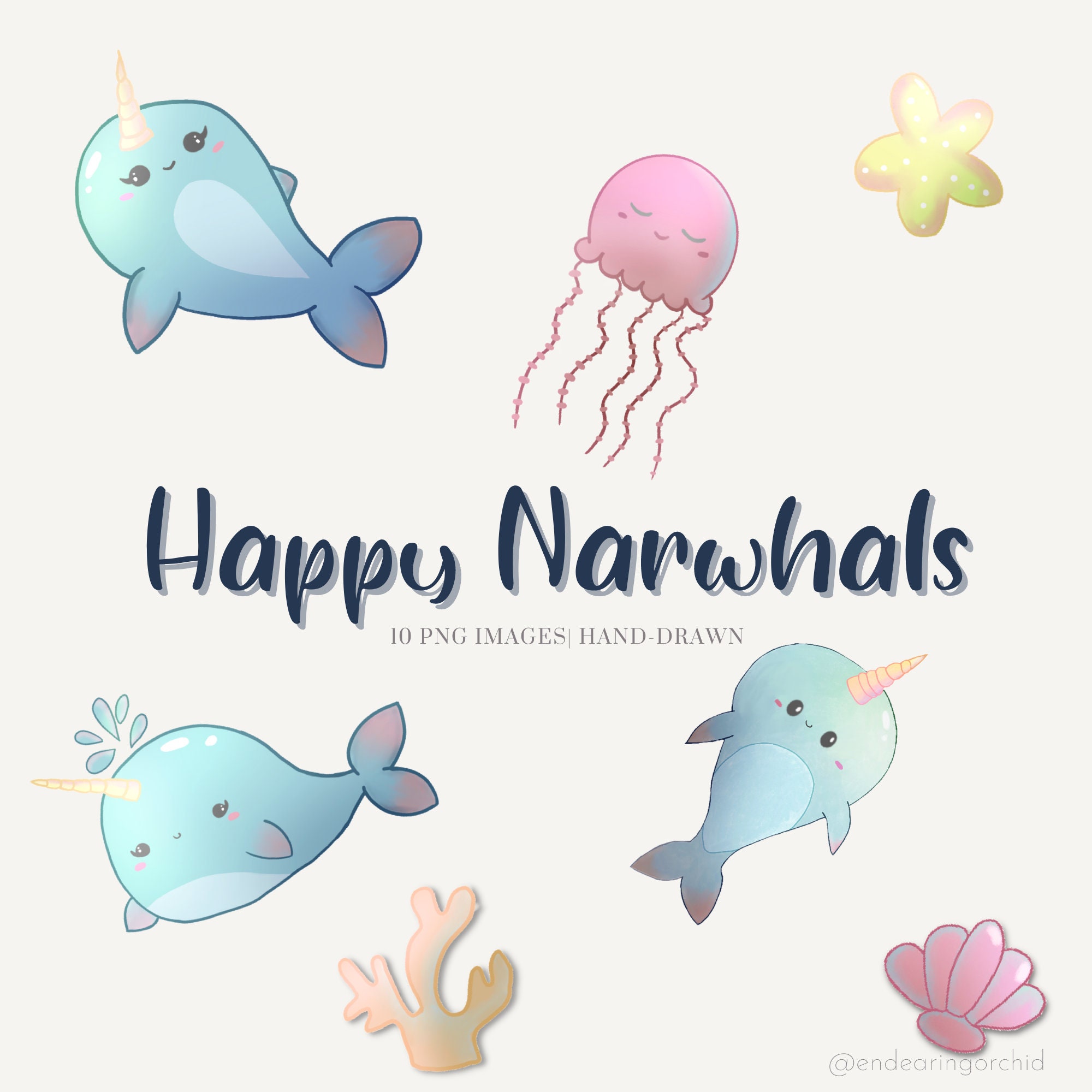 Hand Drawn Narwhal Clipart, Cute Narwhal Clipart, Ocean, Ocean Clipart ...