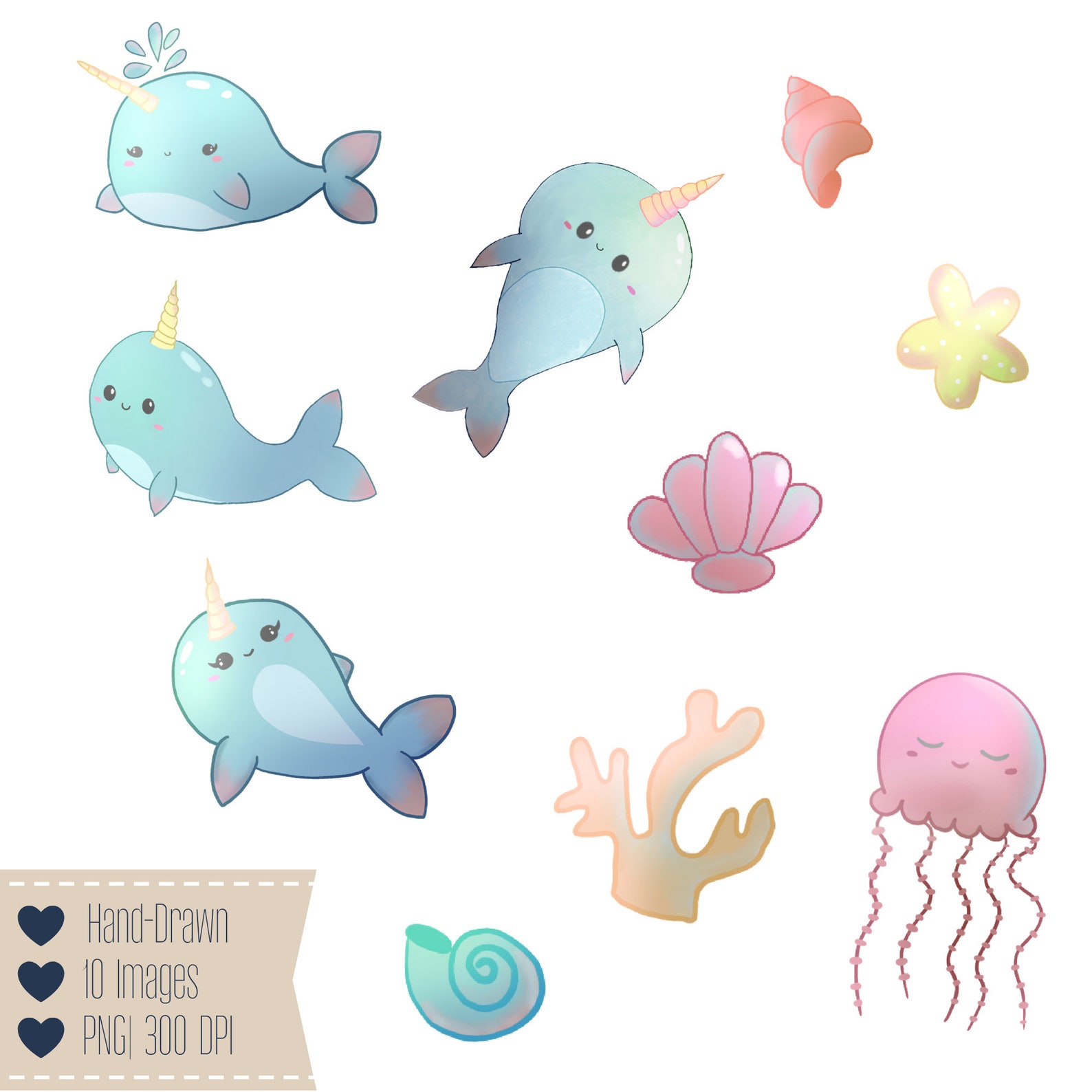 Hand Drawn Narwhal Clipart, Cute Narwhal Clipart, Ocean, Ocean Clipart ...