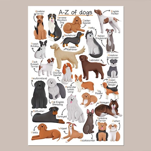 Dog Breeds Alphabet Print ABC Dog Alphabet Poster A-Z - Etsy