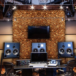 Sound Diffuser Static Acoustic Sound Panels, Wood Sound Diffuser, Sound ...