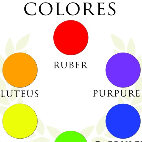 Animalia Digital Latin Poster - Etsy