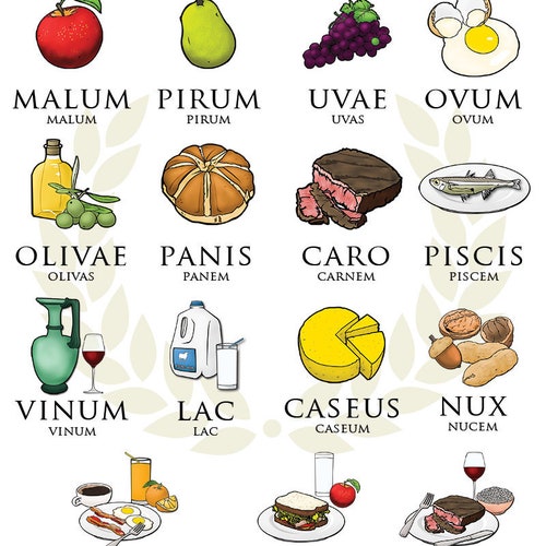 Animalia Digital Latin Poster - Etsy