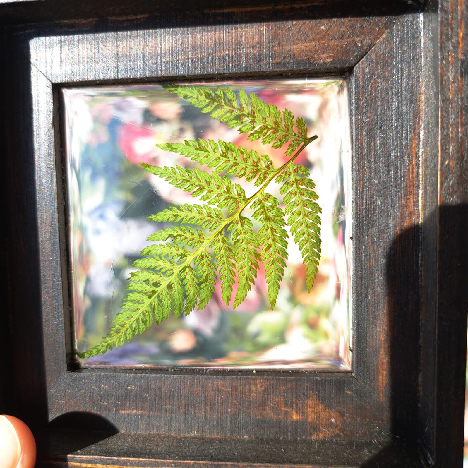 Wood Jewelry Box With Real Dried Fern, Handmade Forest Botanical ...