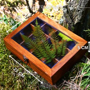 Wood Jewelry Box With Real Dried Fern, Flowers, Handmade Forest ...