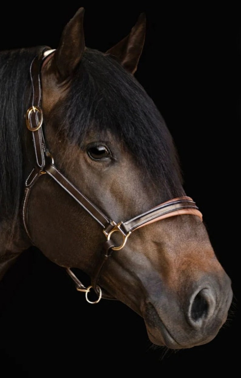 LUMIERE 'bella' Brown Leather Halter, new Free Shipping USA - Etsy