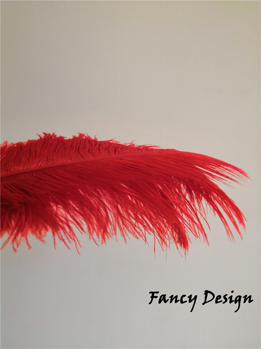 50 pcs RED ostrich feather 5-20inches for wedding party | Etsy