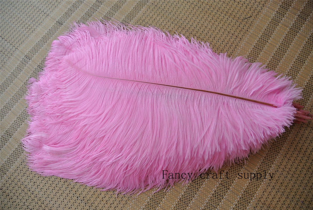 30 Stück hell rosa Strauß feder Strauß Pflaume für Hochzeit Partei ...