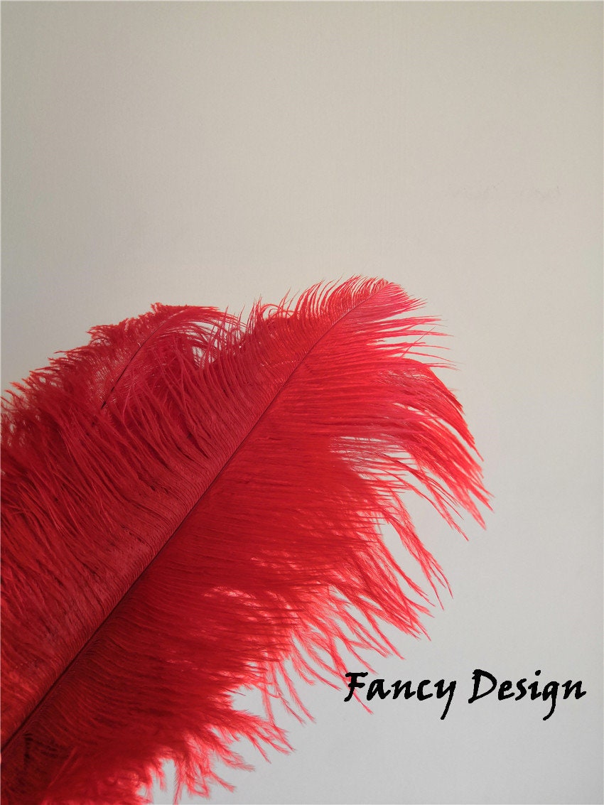 50 pcs RED ostrich feather 5-20inches for wedding party | Etsy