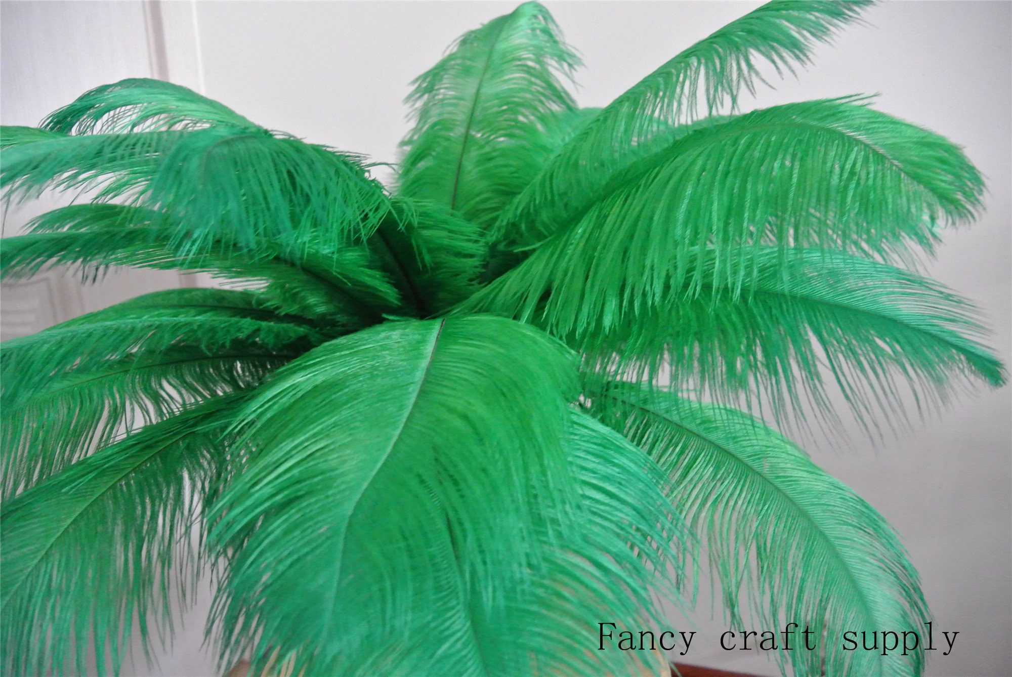 Kelly Green Dark Green Ostrich Feather Ostrich Plume 100 Pcs for ...