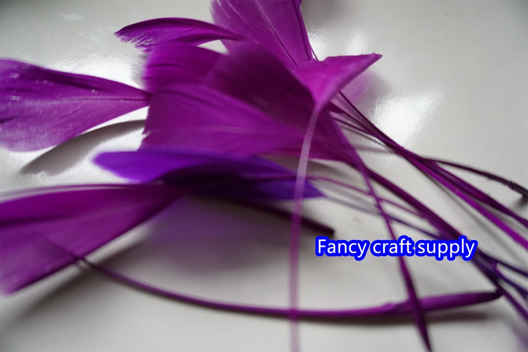 20 Colors 100 Pcs Purple Stripped Goose Feather for Hat Decor Carft ...