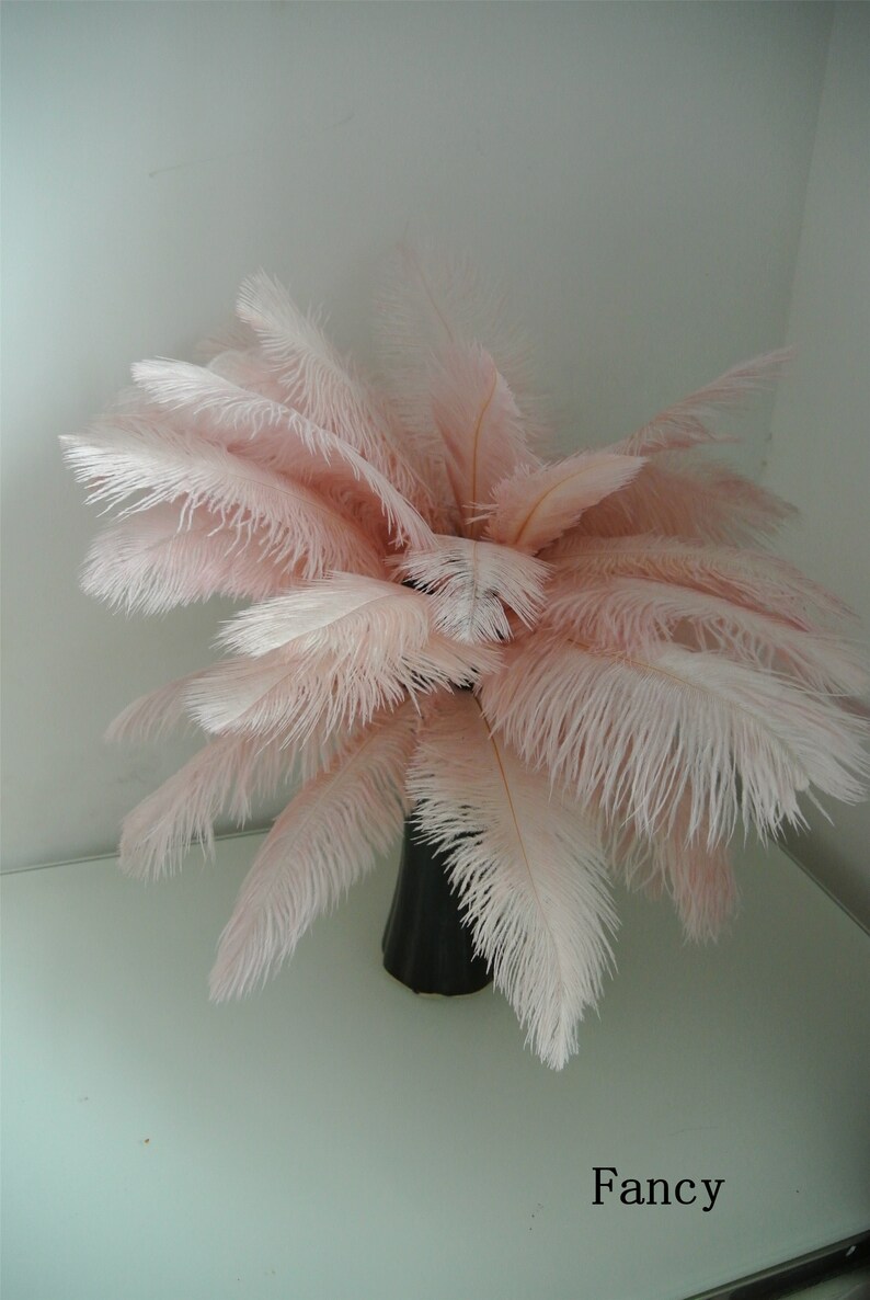 Poussière rose rose autruche plumes plumes plumes plumes plume - Etsy ...
