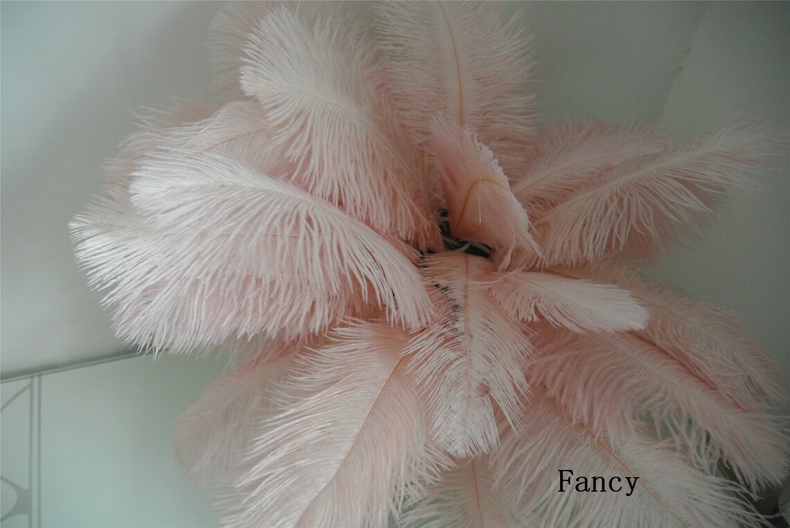 Dust Pink Light Pink Ostrich Feathers Ostrich Plume 100 Pcs for Wedding ...