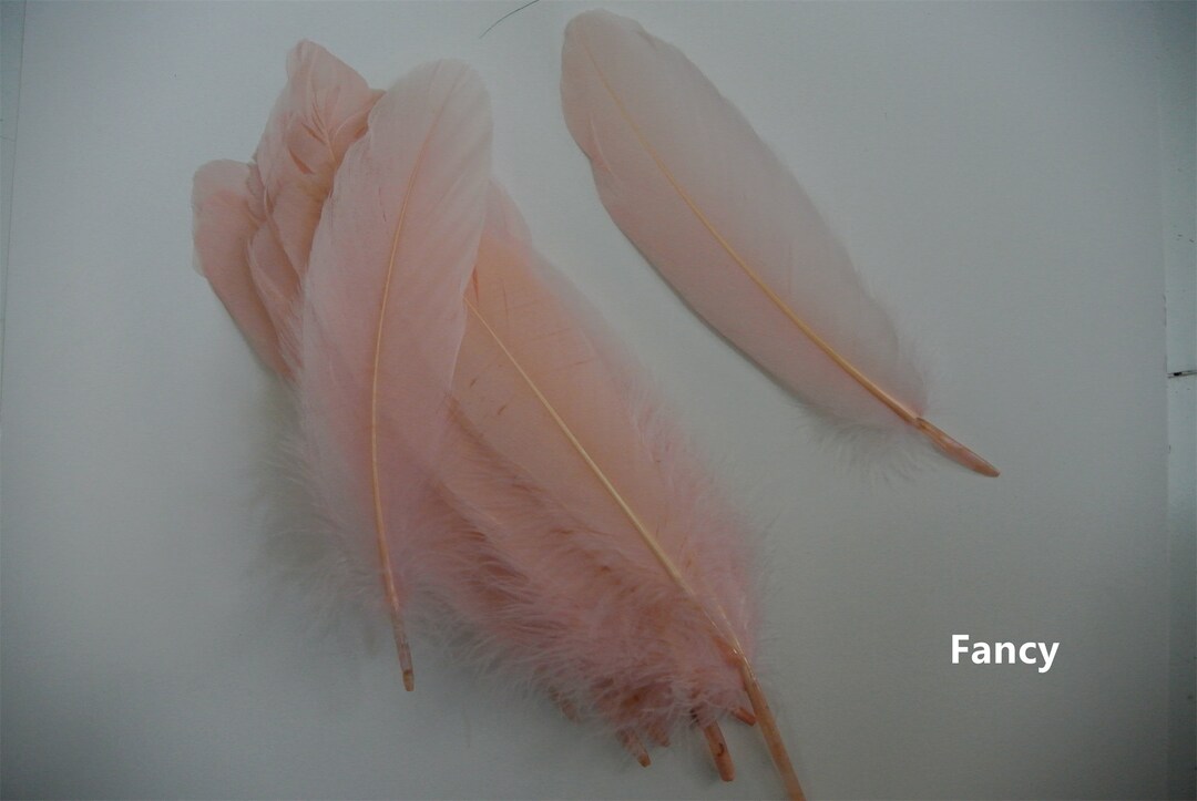 36 Colors 100 Pcs Blush Pink Goose Feather Pheasant Feather 4-7inch for ...