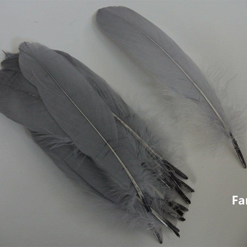 Goose Costume - Etsy