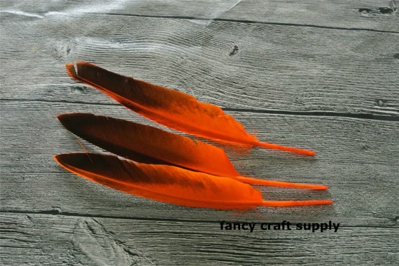 20 pcs white red orange light hot pink green purple yellow | Etsy