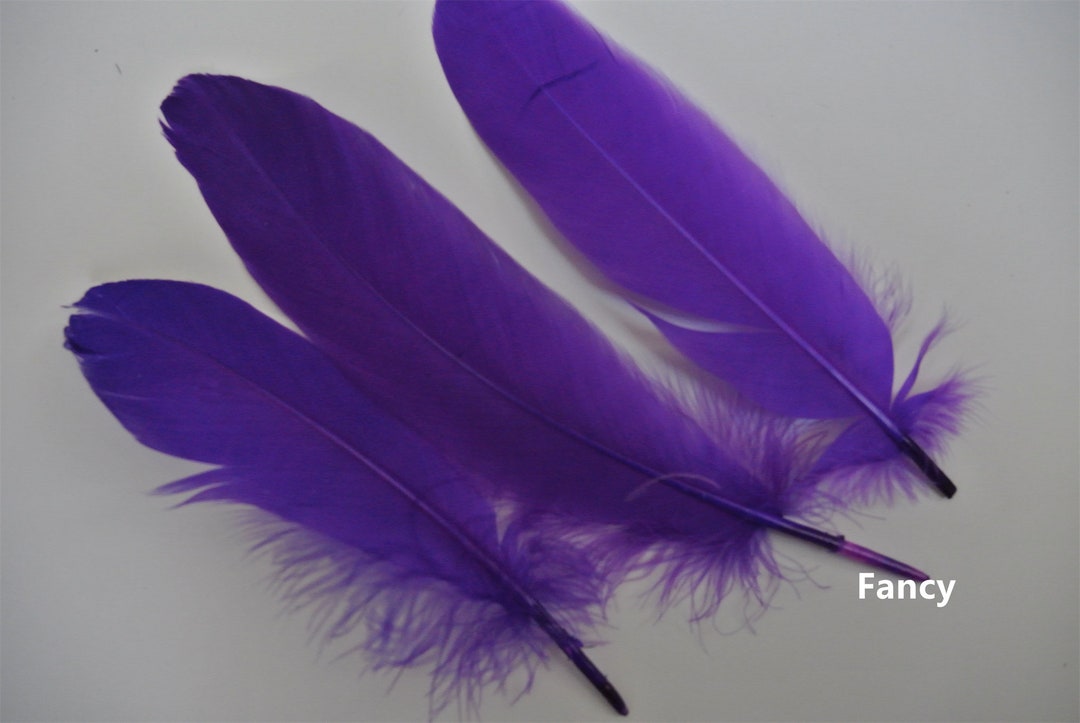 36 Colors 100 Pcs Purple Goose Feather Pheasant Feather 4-7inch for ...