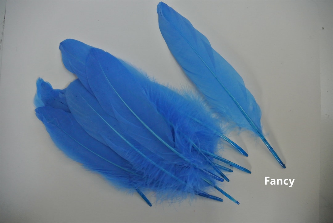 36 Colors 100 Pcs Blue Goose Feather Pheasant Feather 4-7inch for ...