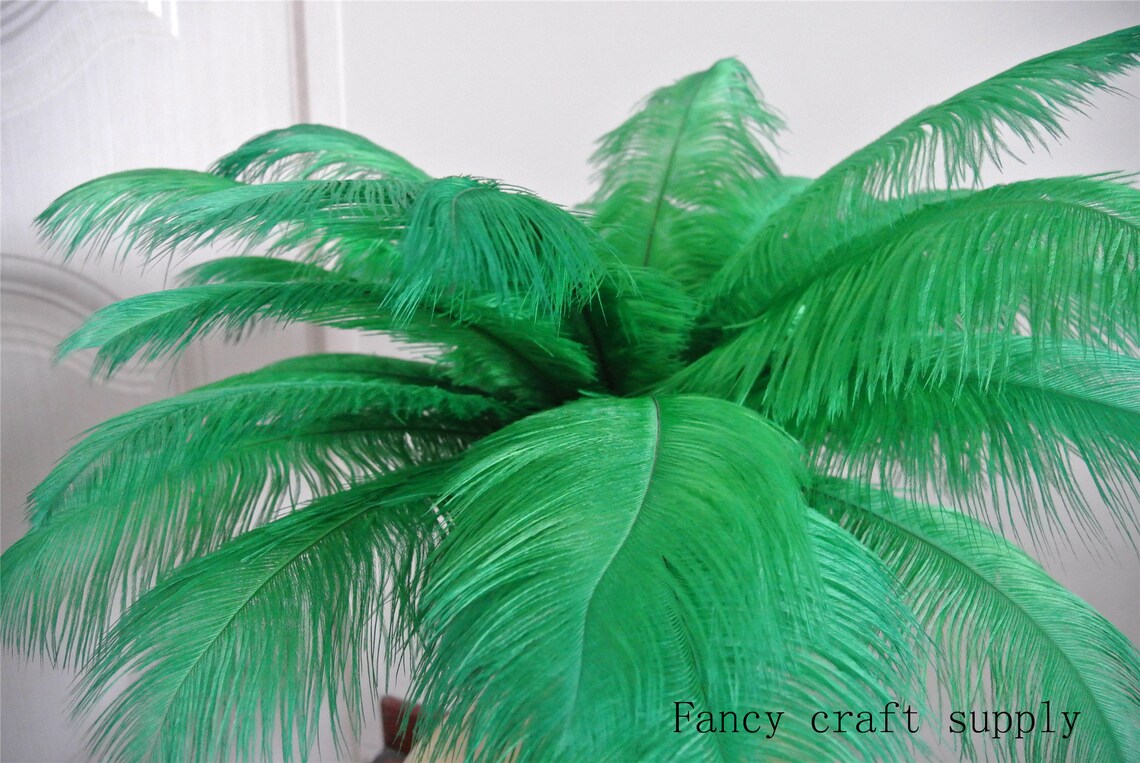 Kelly Green Dark Green Ostrich Feather Ostrich Plume 100 Pcs for ...