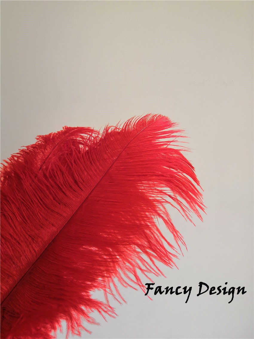 50 pcs RED ostrich feather 5-20inches for wedding party | Etsy