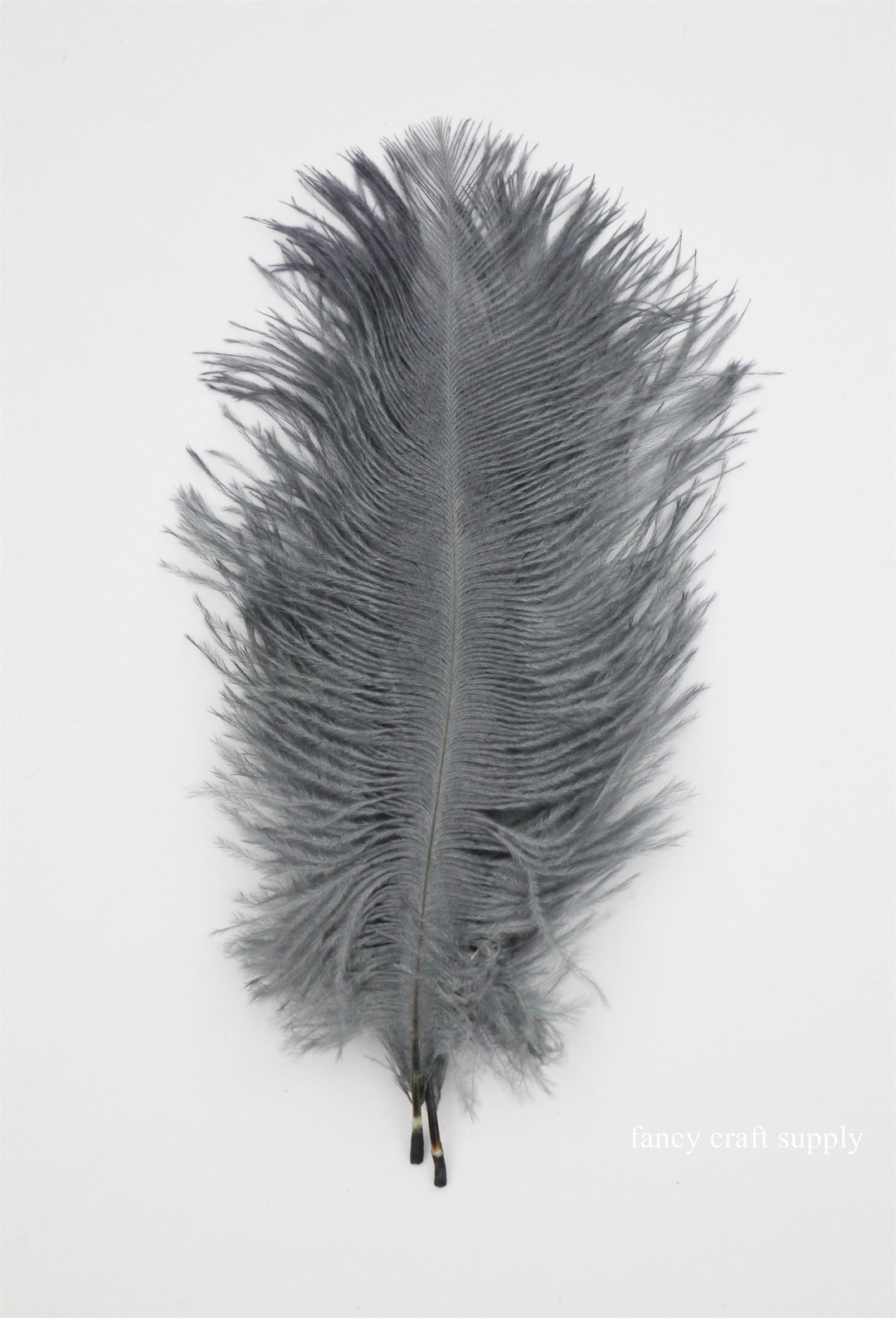 Gray Ostrich Feather Ostrich Plume 50 Pcs for Wedding Party Centerpiece ...